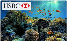 Product Offers - Holidays, Flights and Hotels - Thomas Cook India